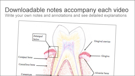 How Our Training Course Works | Tour | The Dental Nurse Academy
